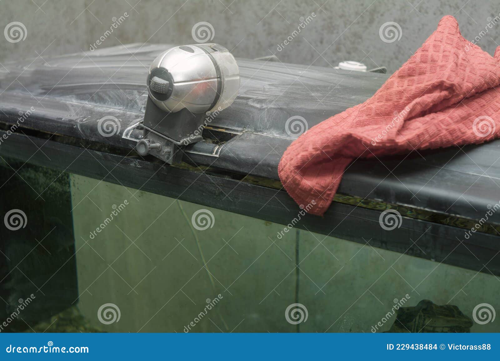 Dirty fish tank stock photo. Image of hobby, plastic - 229438484