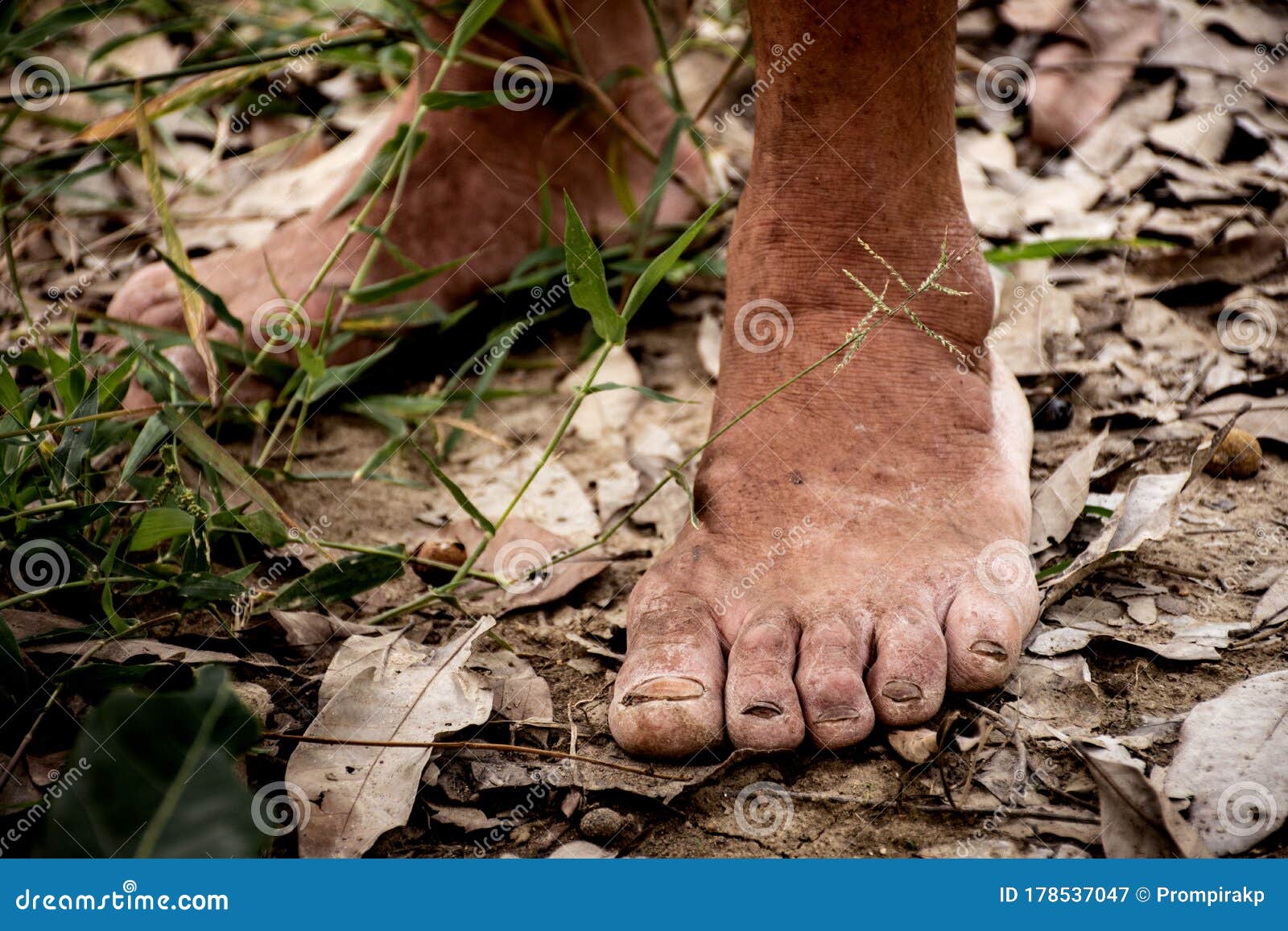 Dirty Foot of Farmer on the Ground Stock Image - Image of dirty, feet ...