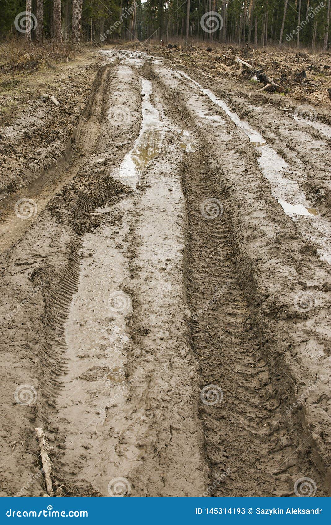 Dirty Forest Impassable Road in the Spring Thaw Broken by Melting Snow ...