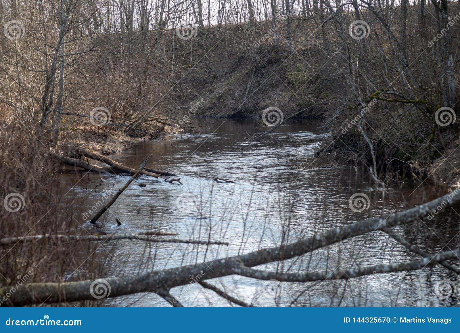 Dirty Forest River in Spring Stock Photo - Image of environment ...