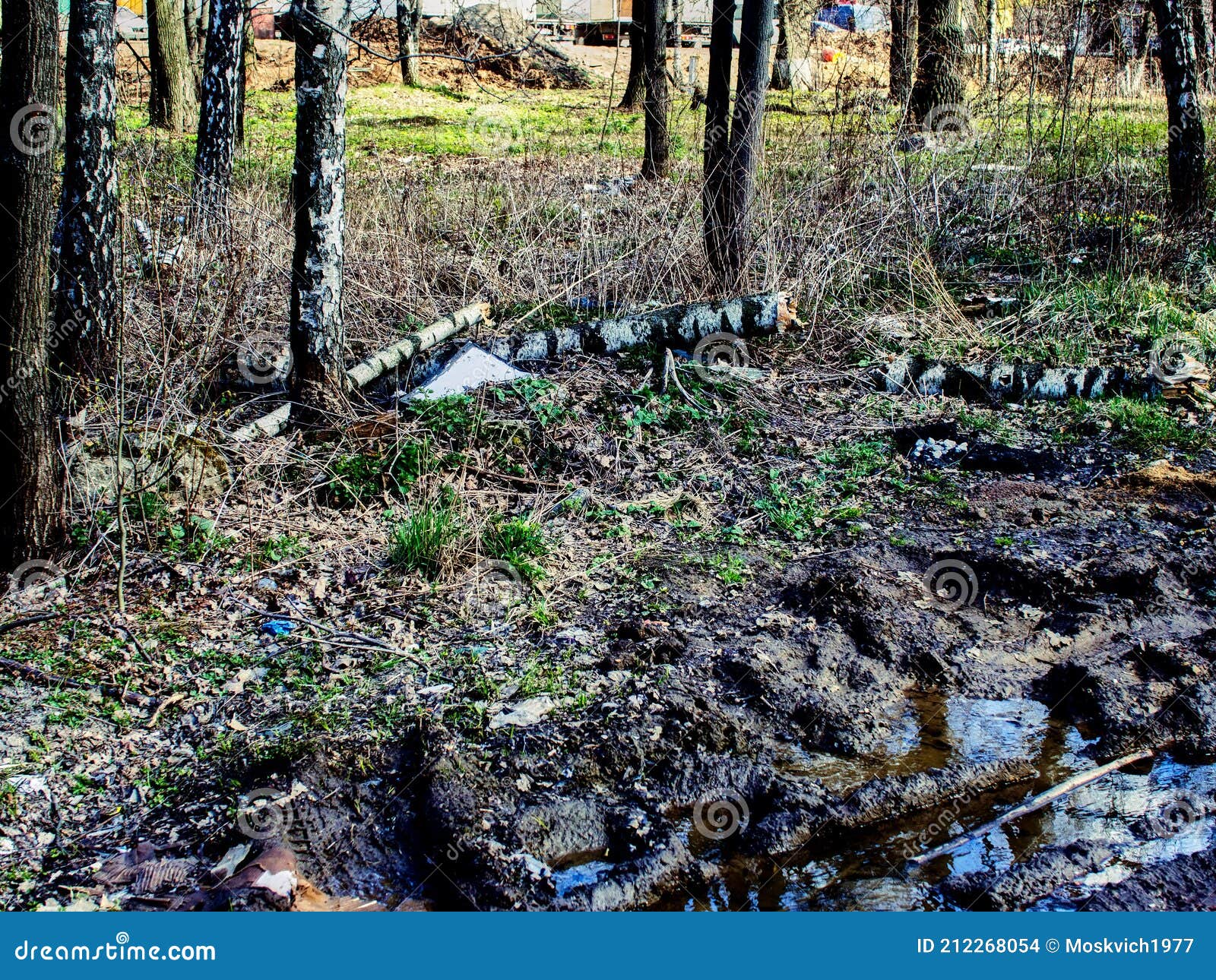 Dirty Forest Glade Polluted By Household Waste In The Forest. Concept ...