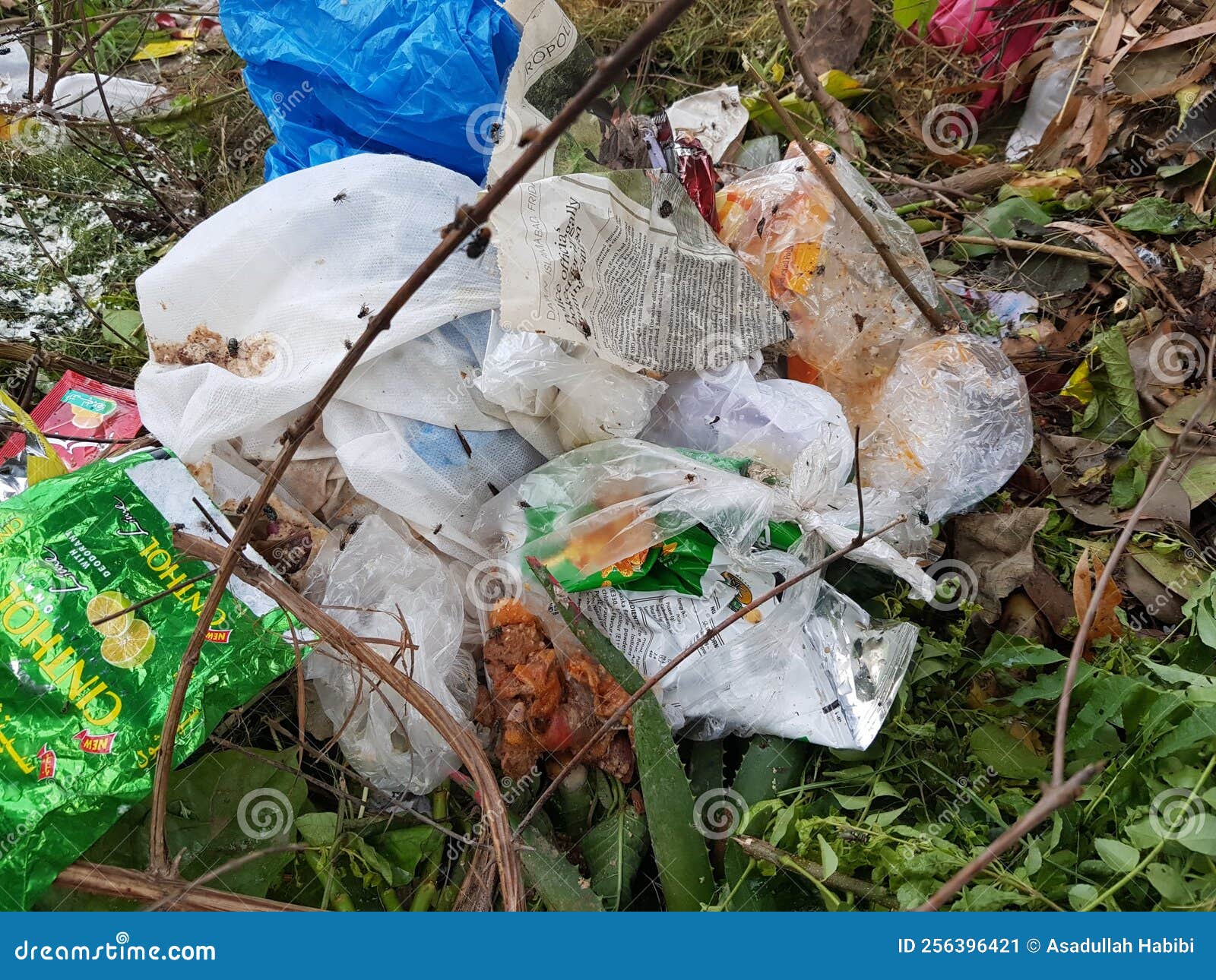 Dirty Garbage Can Increase the Environment Pollution Editorial Photo ...