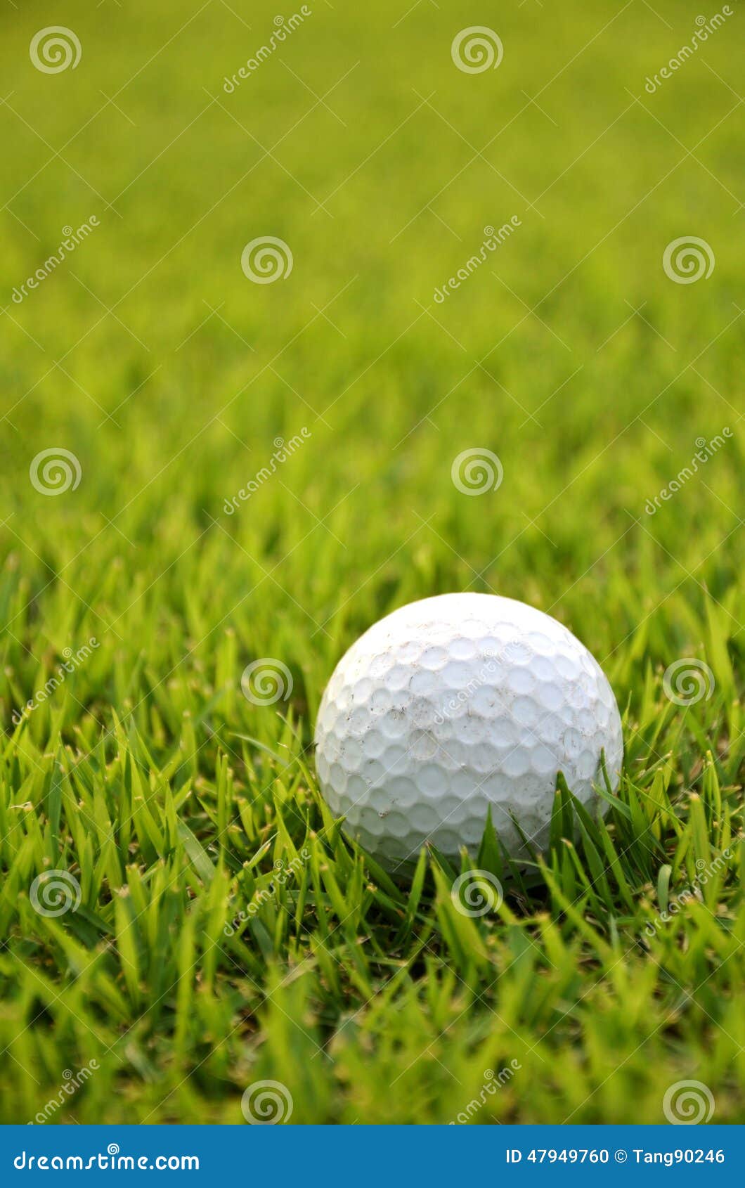 Dirty Golf Ball on the Grass Stock Photo - Image of activity, shape ...
