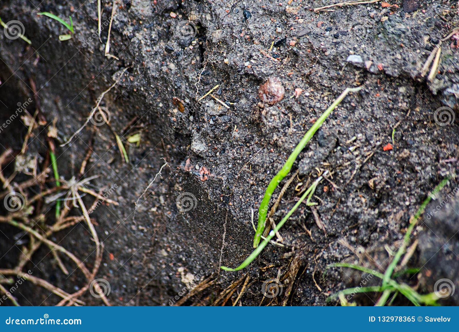 Dirty grass ground stock image. Image of clod, dust - 132978365