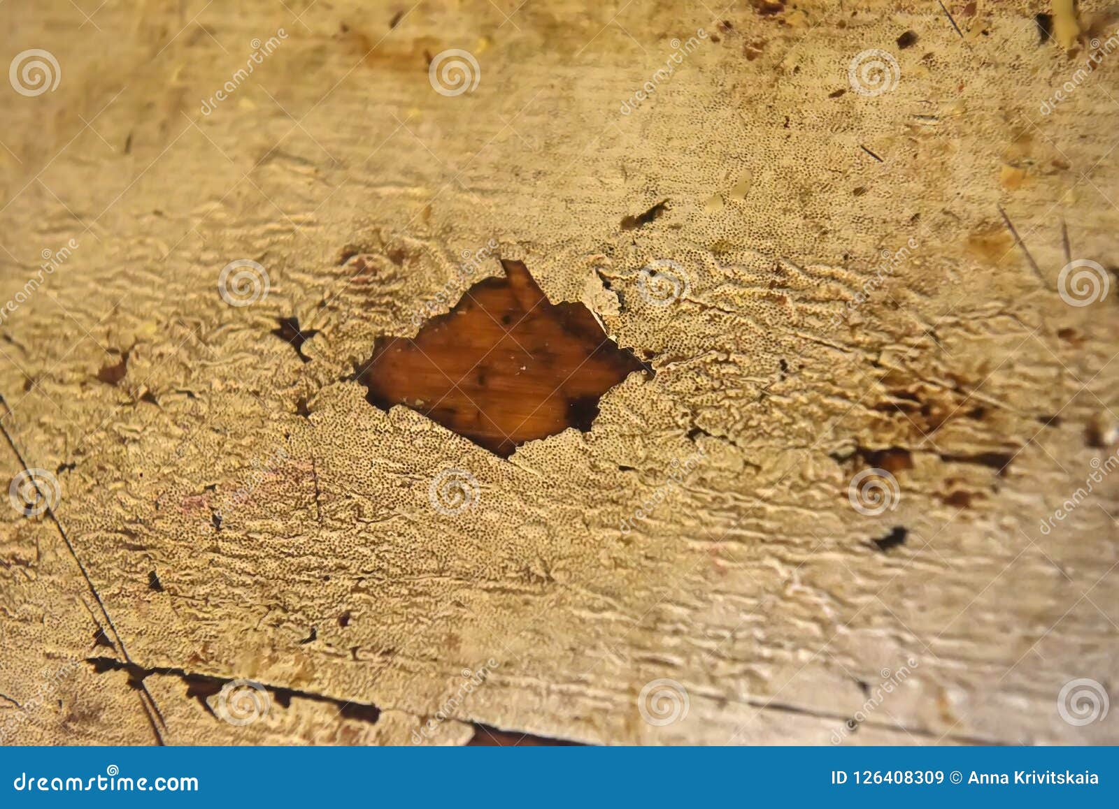 Dirty greasy background stock image. Image of distressed - 126408309