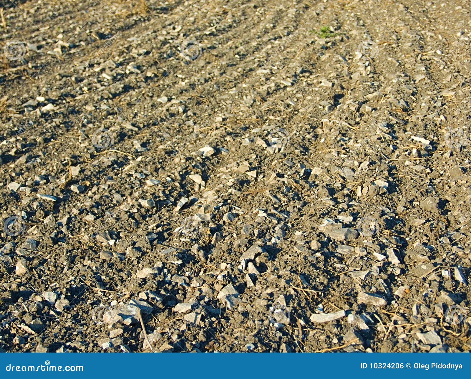 Dirty ground stock photo. Image of color, natural, abstract - 10324206