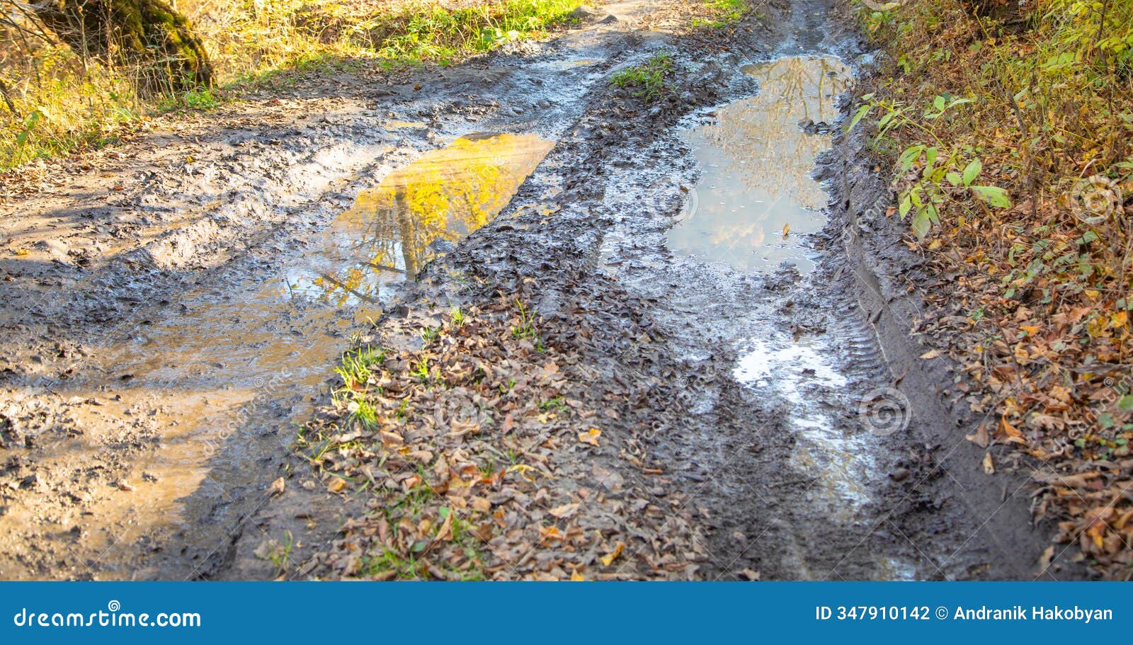 Dirty Ground Road in the Forest Stock Illustration - Illustration of ...