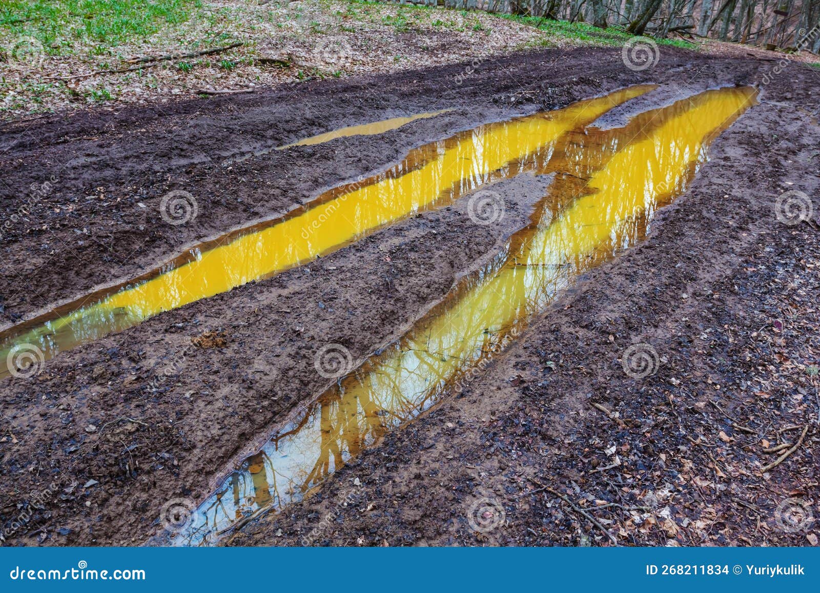 Dirty Ground Road Through The Forest Stock Image | CartoonDealer.com ...