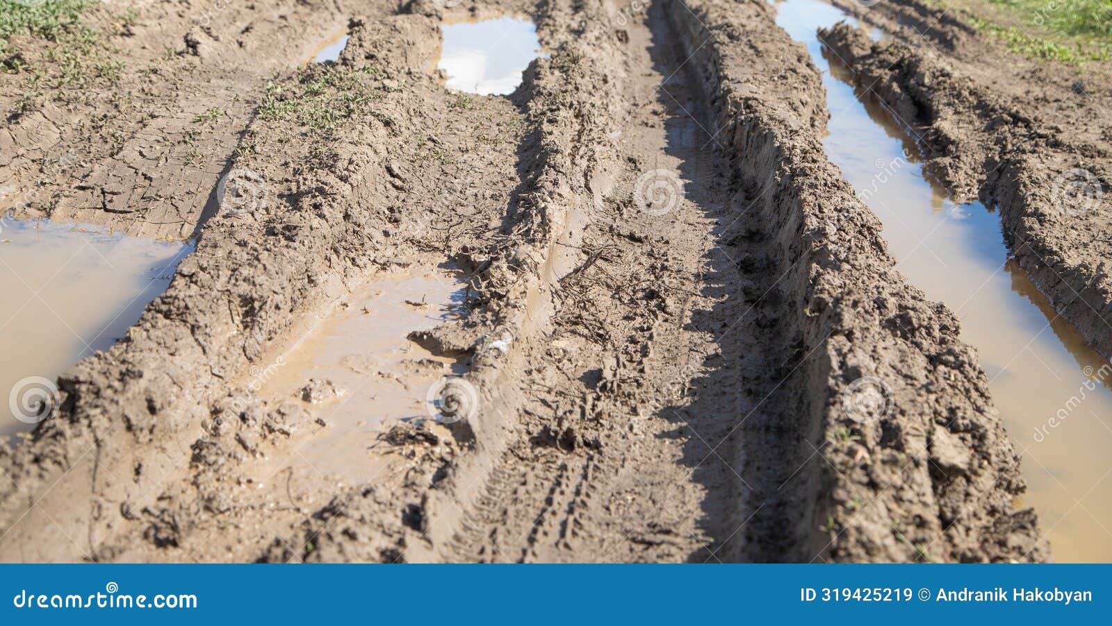 Dirty Ground Road in the Nature at Spring Time Stock Image - Image of ...