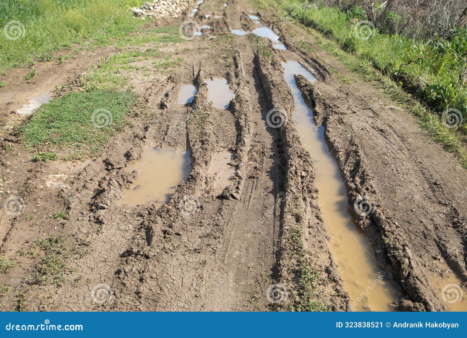Dirty Ground Road in the Nature at Spring Time Stock Image - Image of ...