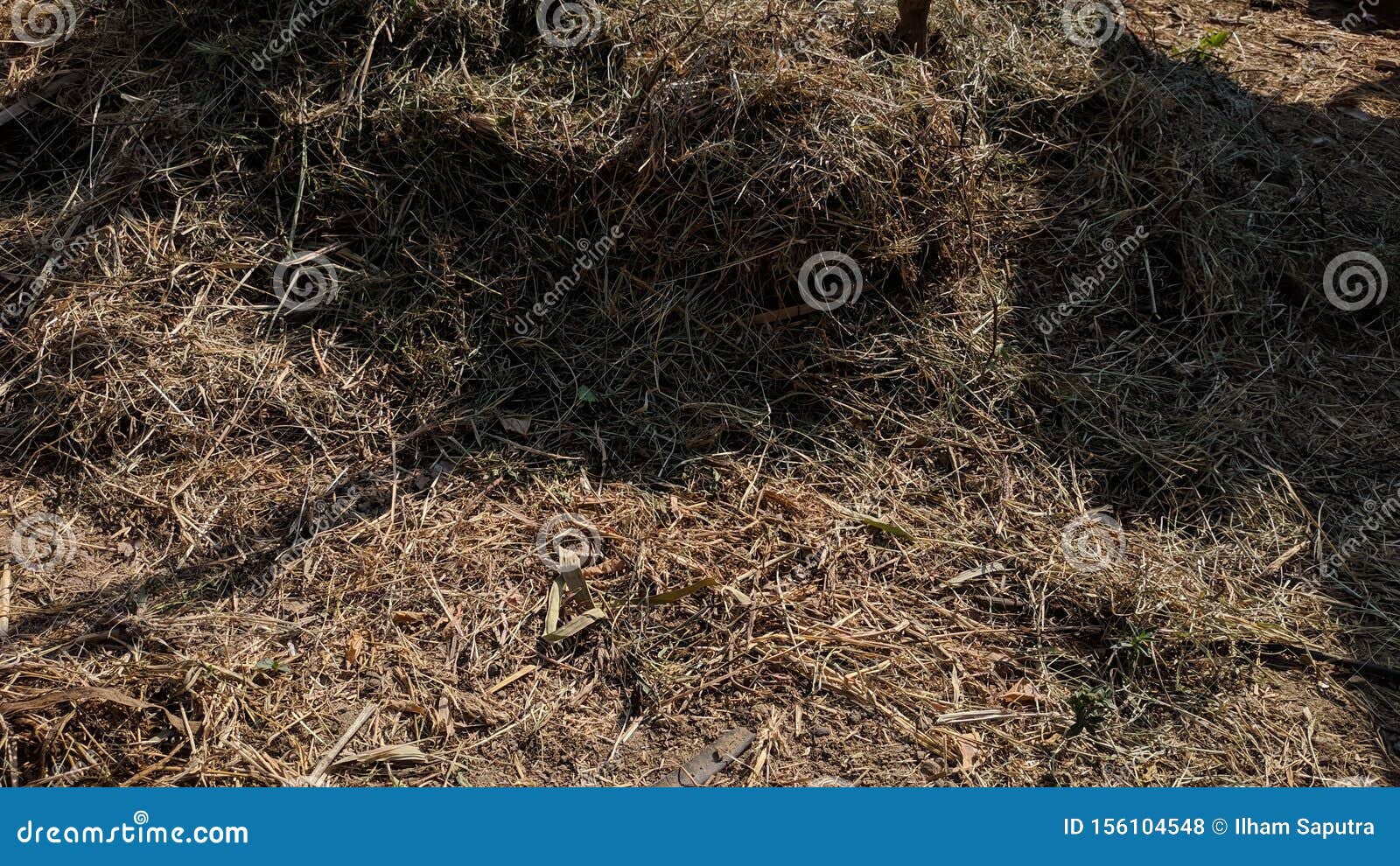 Dirty Haystack on the Garden Stock Photo - Image of golden, grain ...