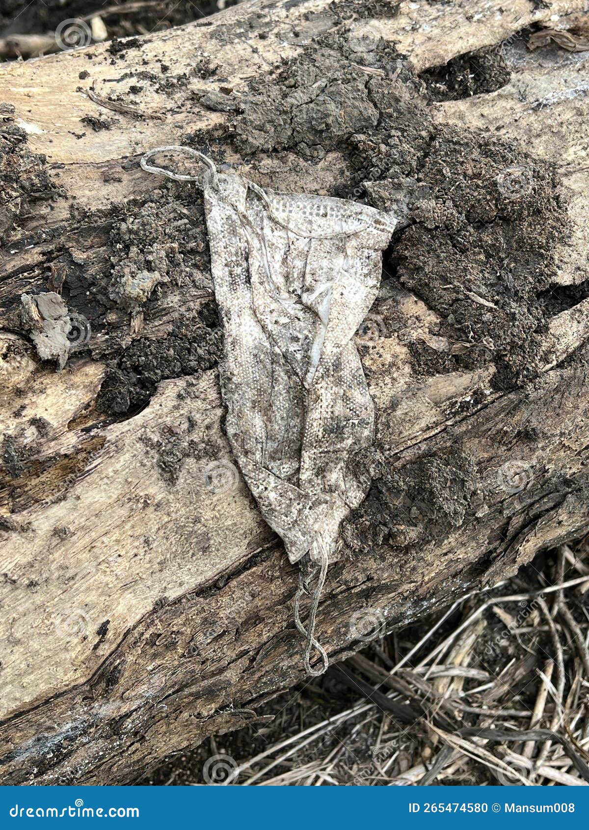 Dirty Madicle Mask on Dirty Log Stock Photo - Image of rough, animal ...