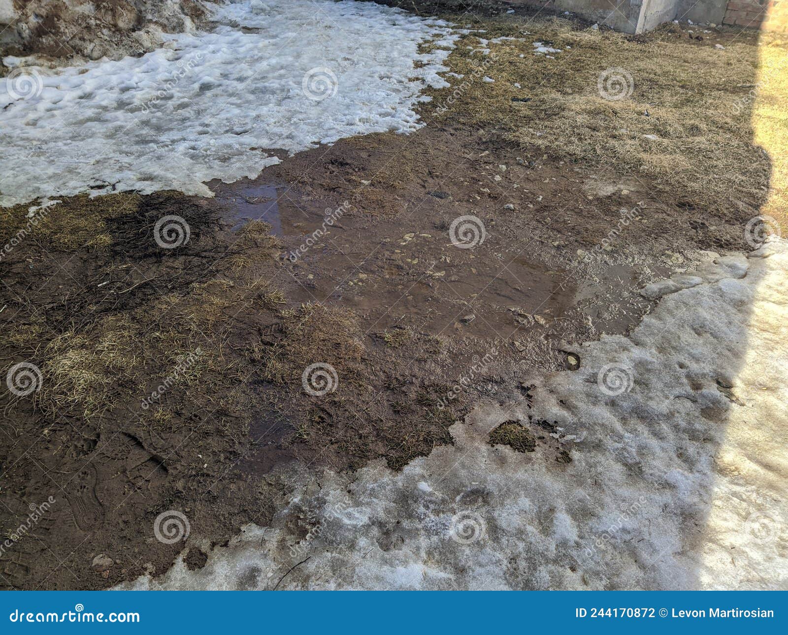 Dirty and Melted Snow in Early Spring in Russia. Stock Photo - Image of ...