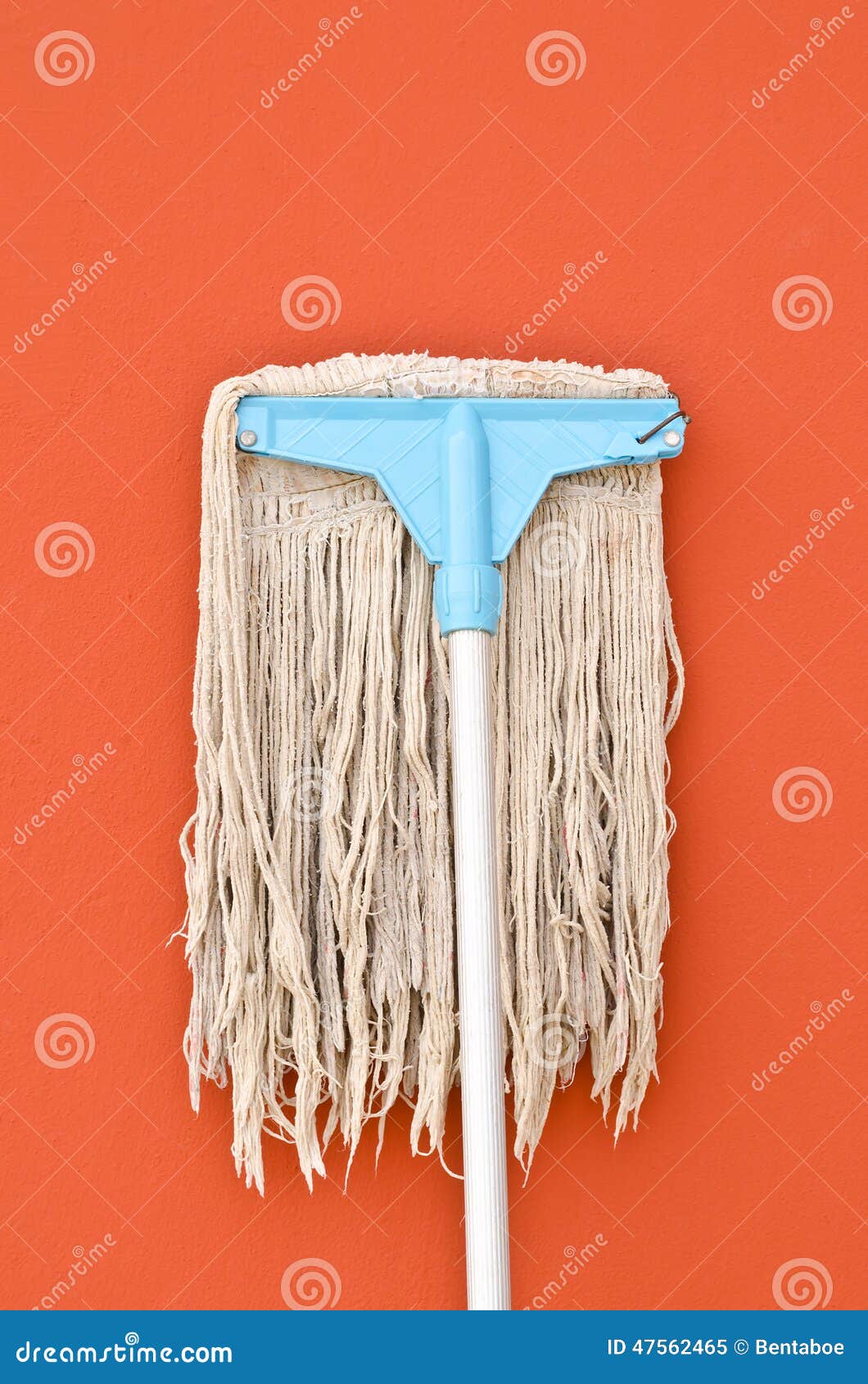 Dirty Brown Mop