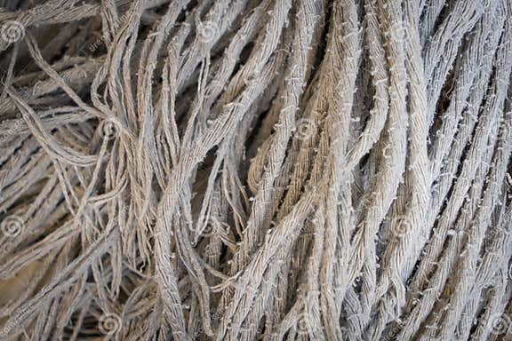 Dirty Mop Head Cleaner Texture. Stock Photo - Image of domestic, tiled ...