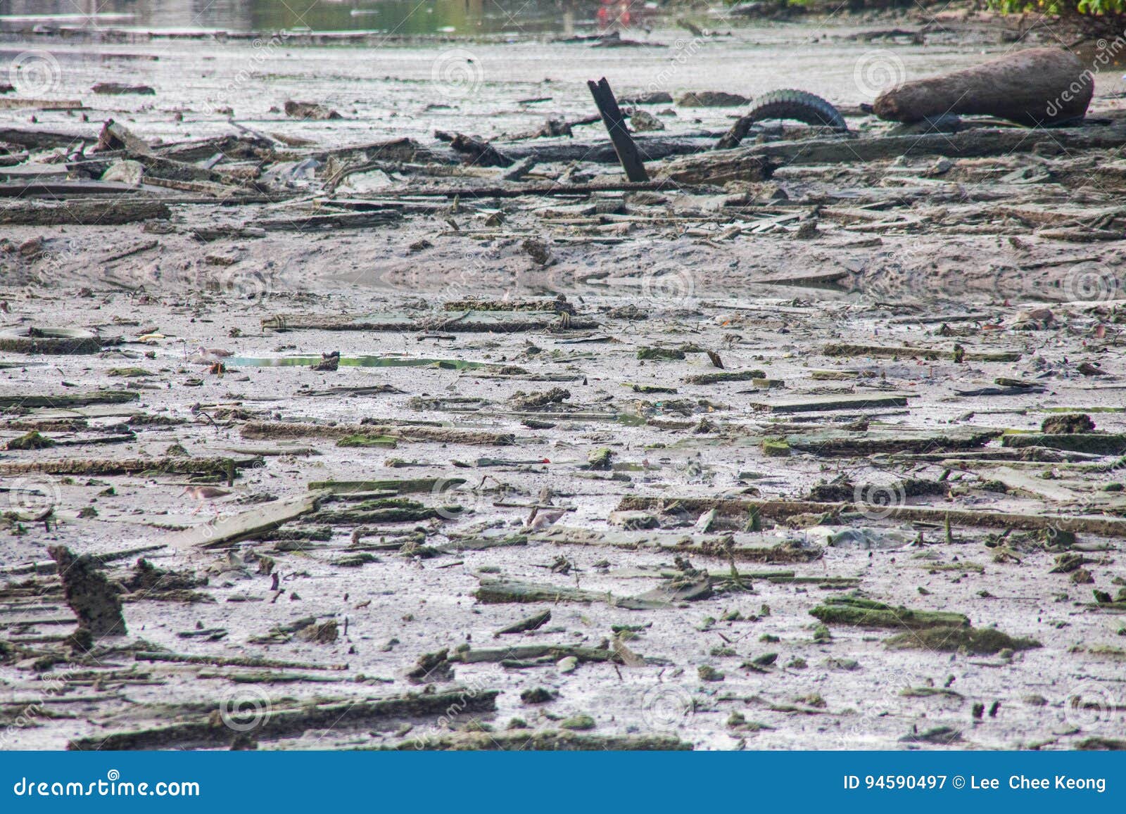 Dirty Muddy Beach Showing a Dump Site Stock Image - Image of dump ...