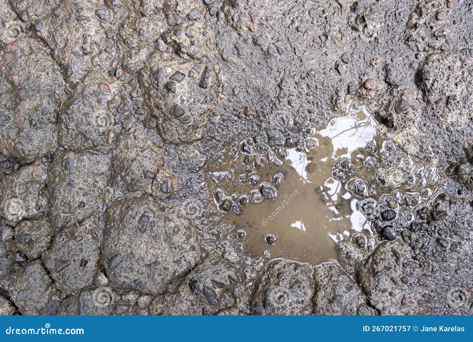 Dirty Brown Small Puddle in Broken Pavement and Dirt Stock Image ...