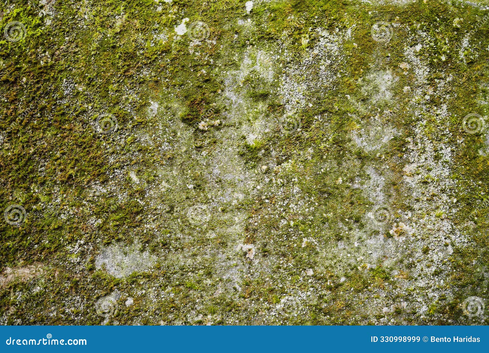 Old Decayed Moss Wall Texture Royalty-Free Stock Photography | CartoonDealer.com #330998999