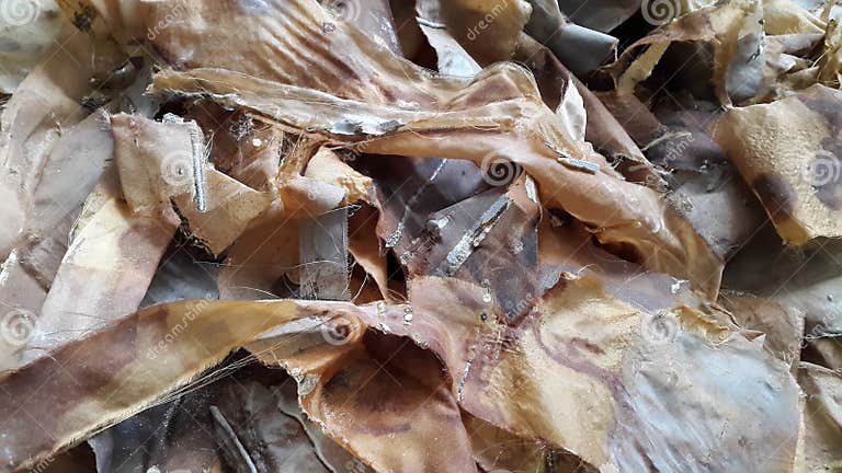 Dirty Old Torn Rags. Dirty Garbage Background Stock Photo - Image of ...