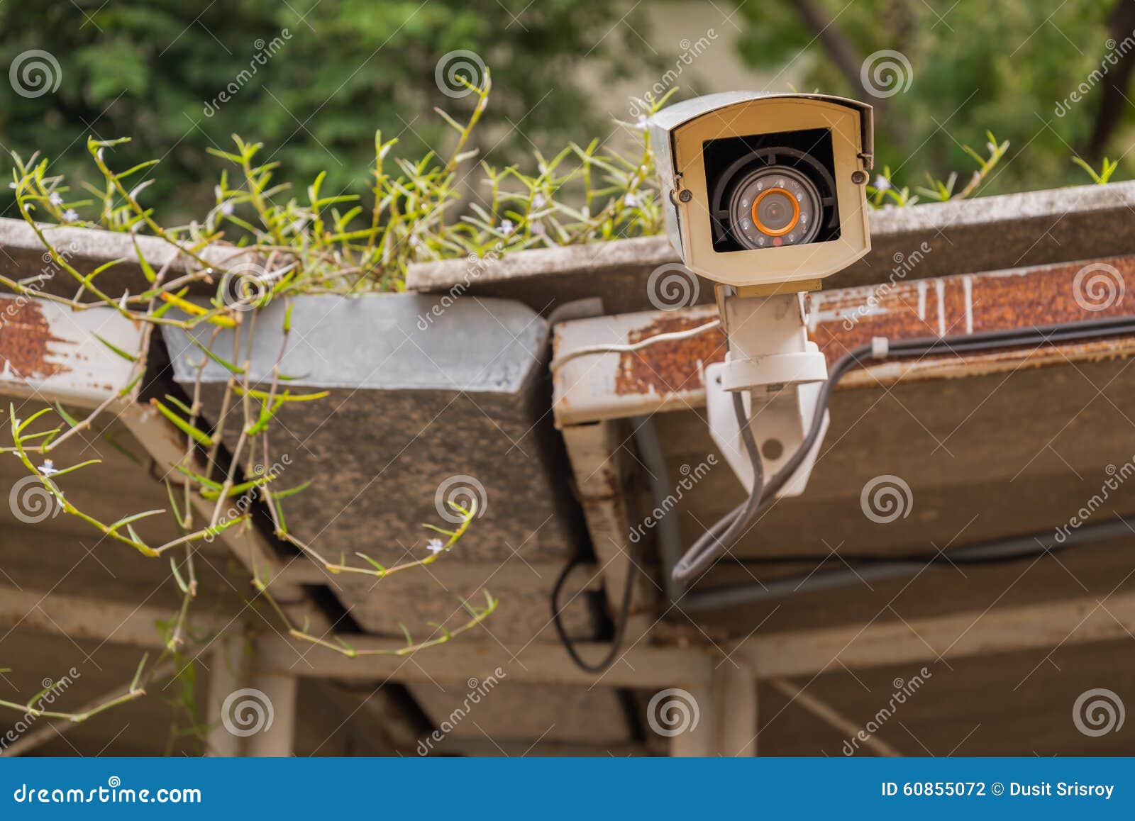 Dirty Outdoor Security Camera and Video on Grass Roof. Stock Photo ...