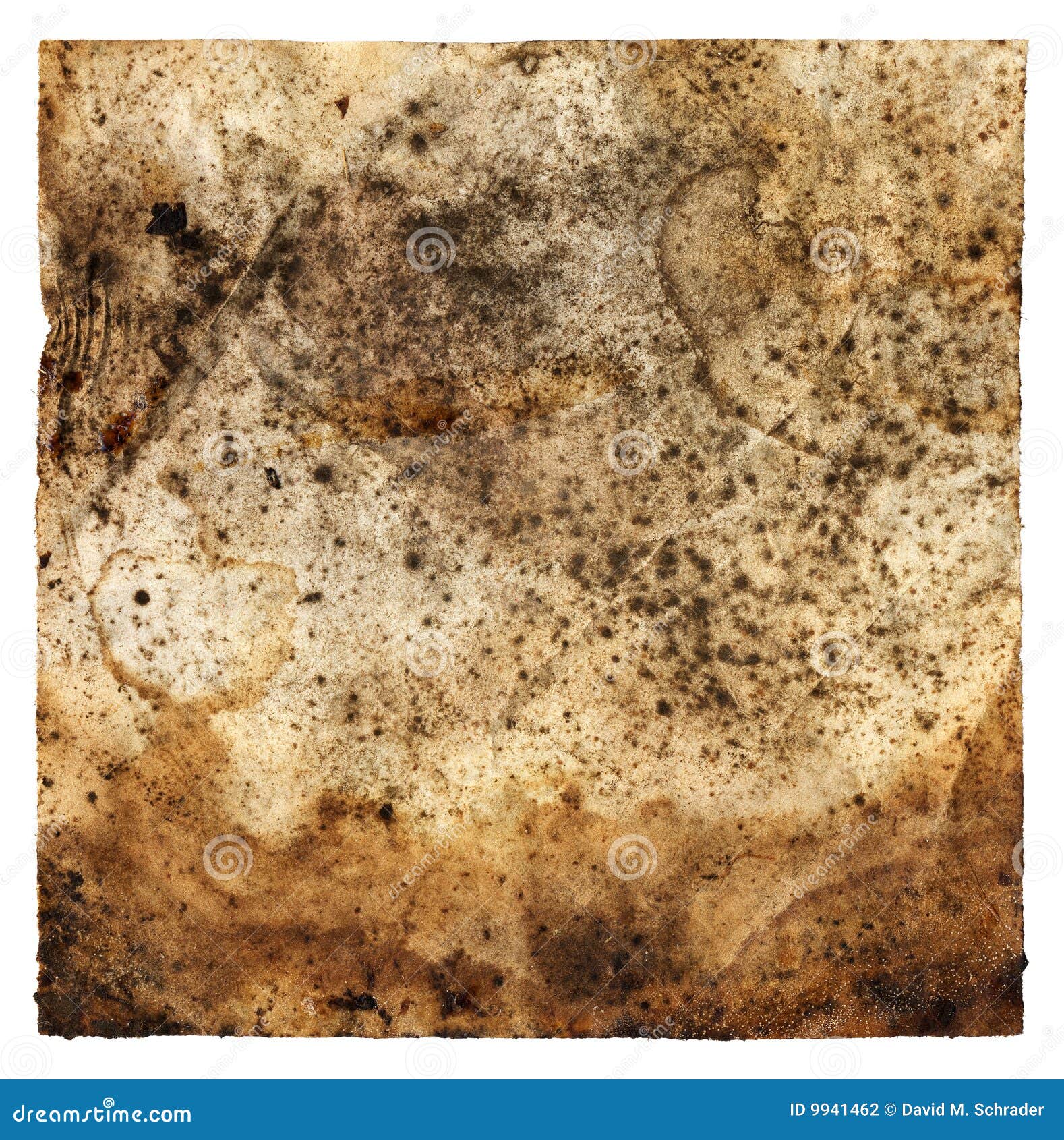 Dirty Paper stock photo. Image of brown, moldy, grungy - 9941462