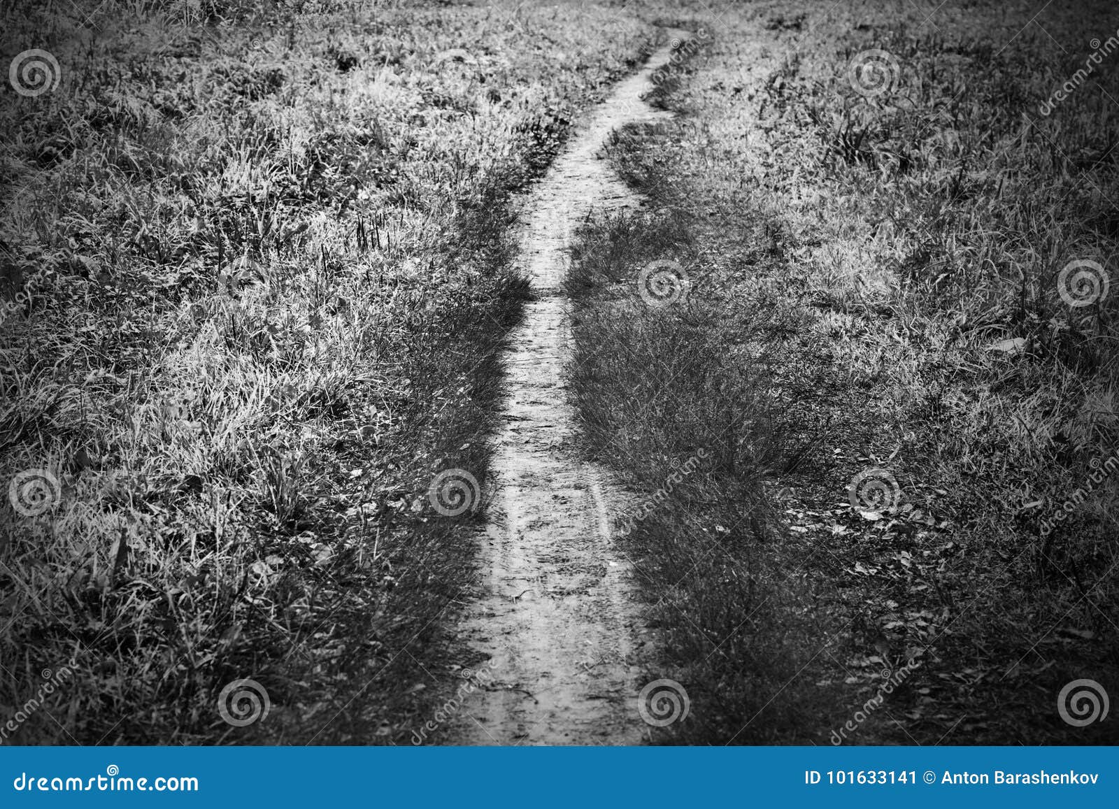 Dirty Path among Grass in Nature. Stock Image - Image of dark, leaf ...