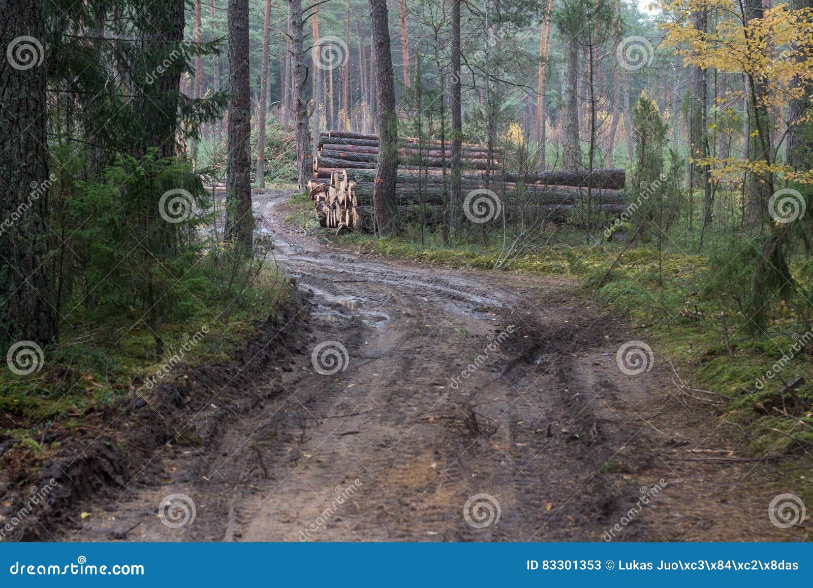 Dirty path stock image. Image of spring, autumn, hiking - 83301353