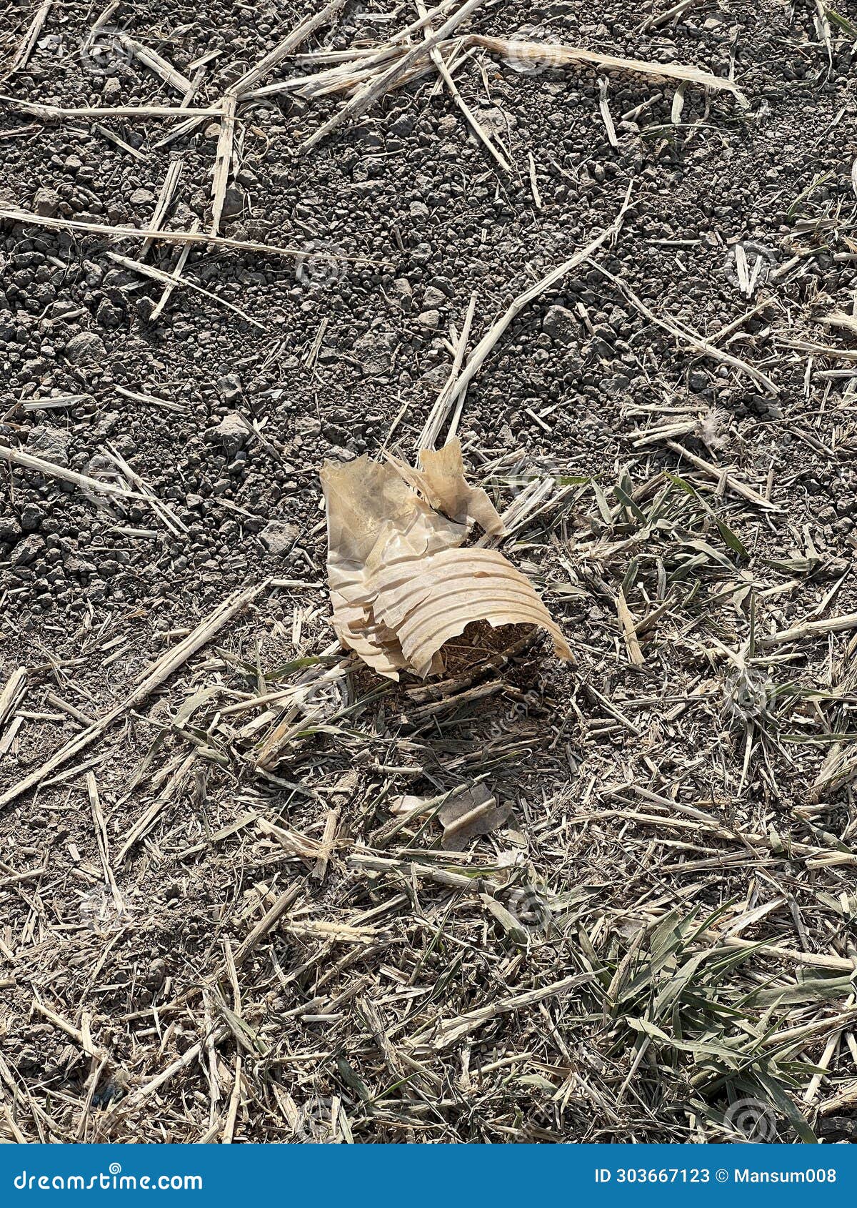 Dirty Plastic on the Ground Stock Image - Image of garden, farming ...
