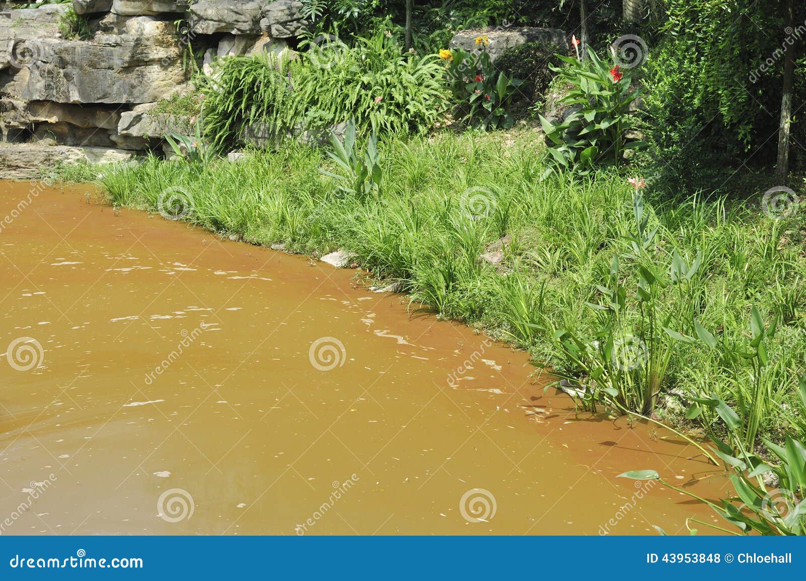 Dirty Polluted Waste Water In Big City With Garbages. Environment ...