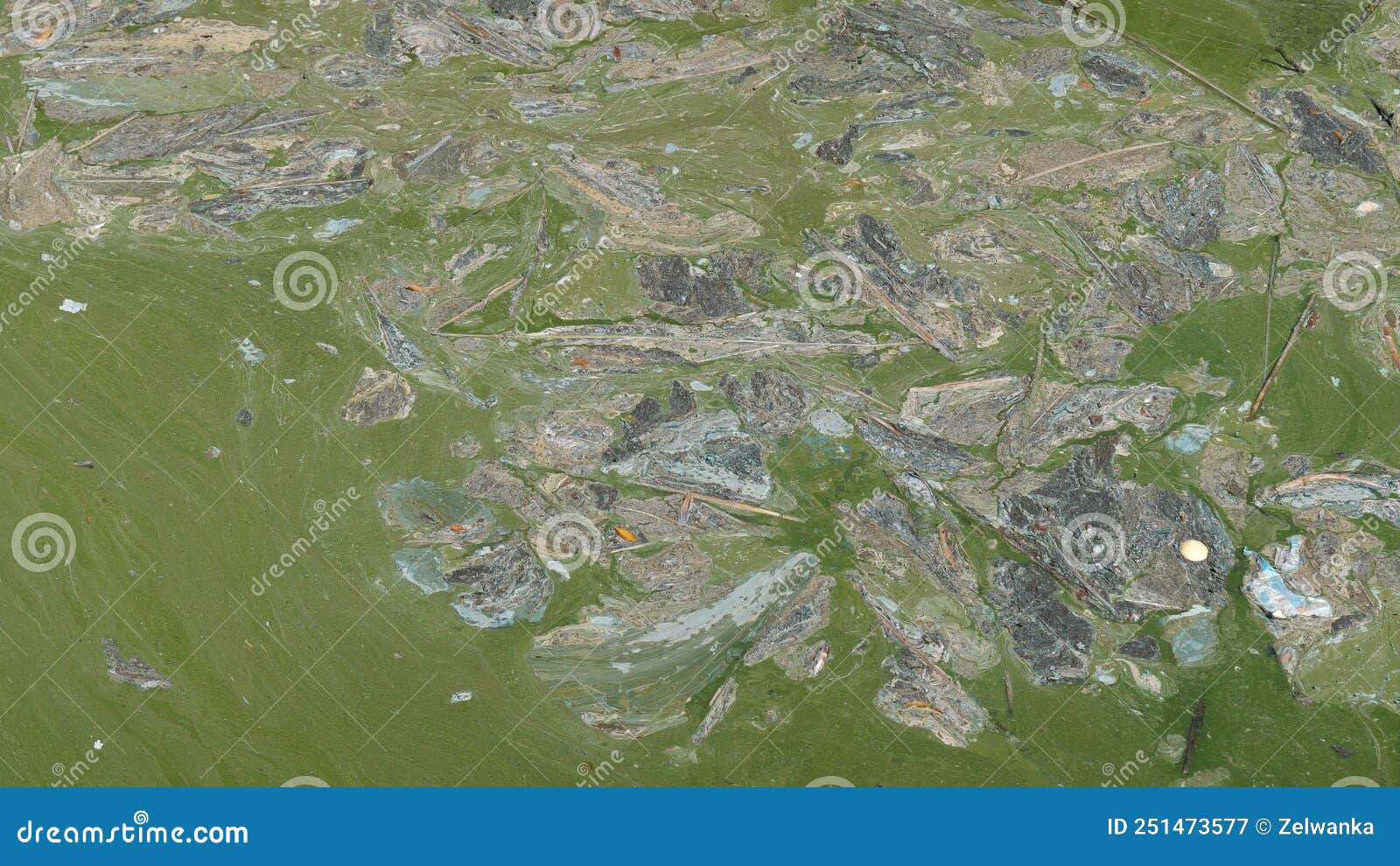 Dirty Polluted River In Ukraine. Unsanitary Undrinkable Water. Muddy ...