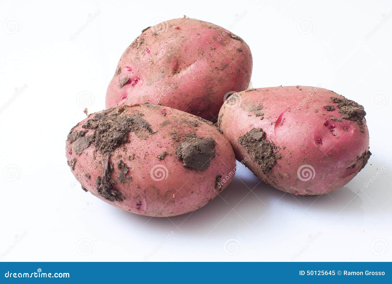 Dirty potatoes stock image. Image of organic, sand, closeup - 50125645