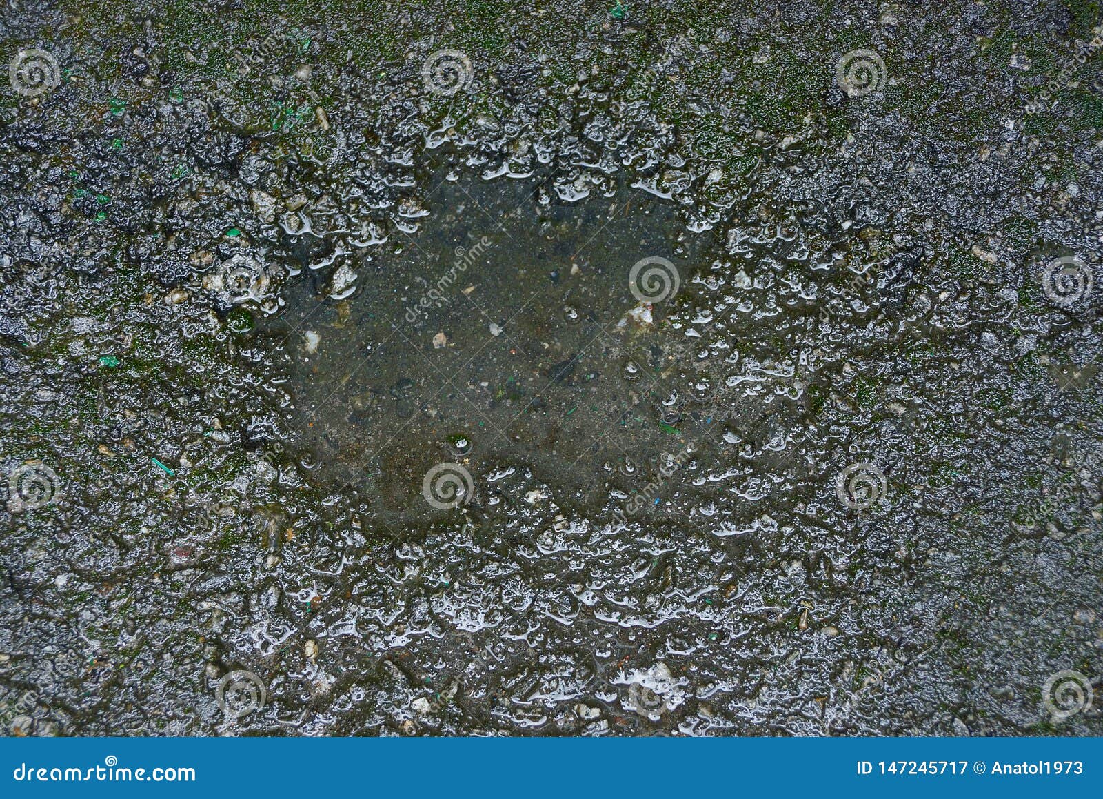 Dirty Puddle on the Gray Wet Asphalt Road Stock Image - Image of lane ...