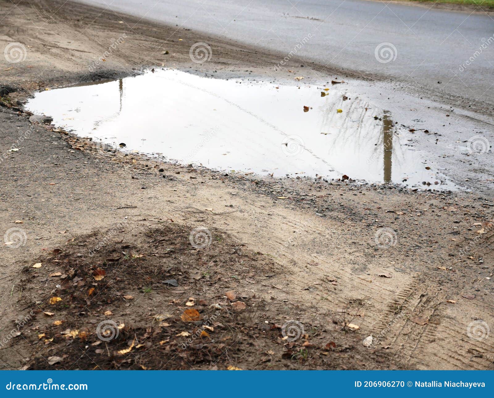 Dirty Puddle on the Road. Autumn Sky Reflected in a Puddle Stock Photo ...