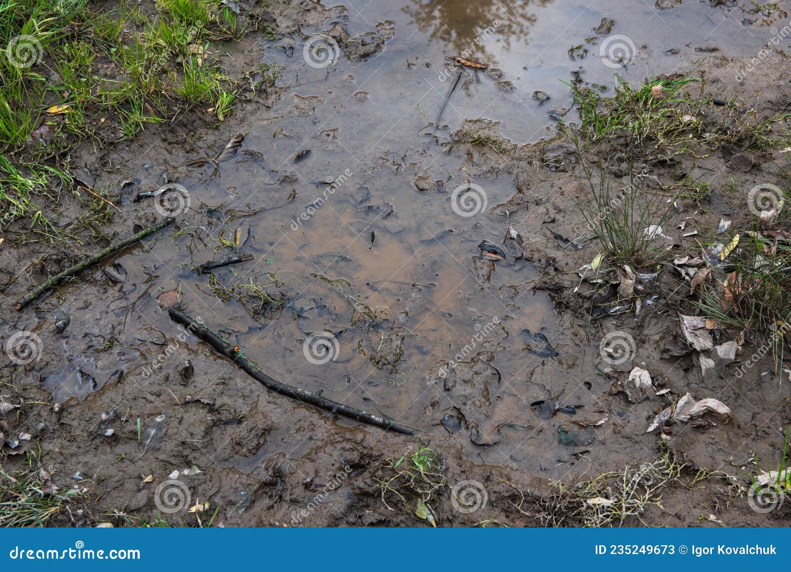 Dirty puddle texture stock image. Image of brown, grass - 235249673