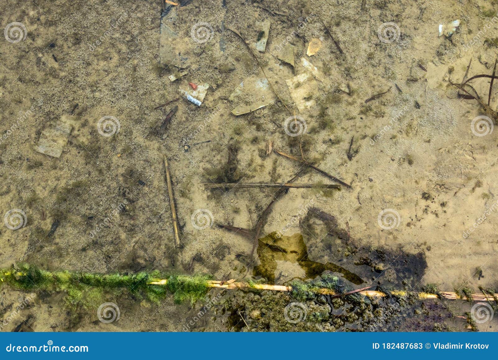 Dirty puddle with trash stock image. Image of floating - 182487683