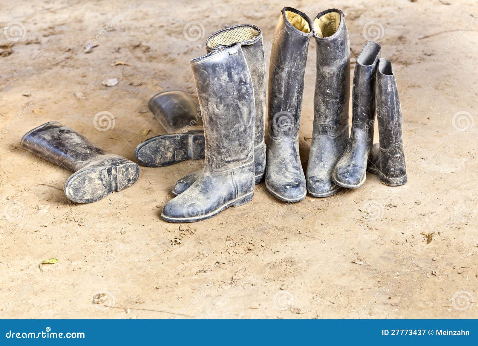 Cowboy Boots In Mud