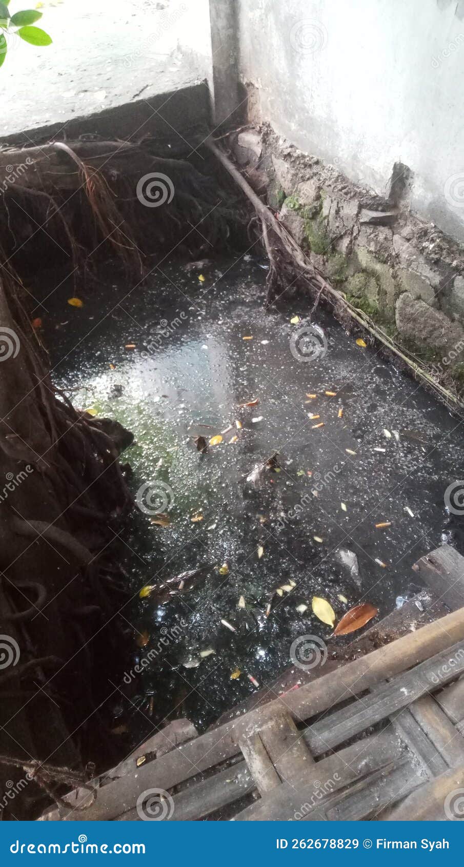 Dirty River Flow Too Dirty To See How To Clean Stock Image - Image of ...