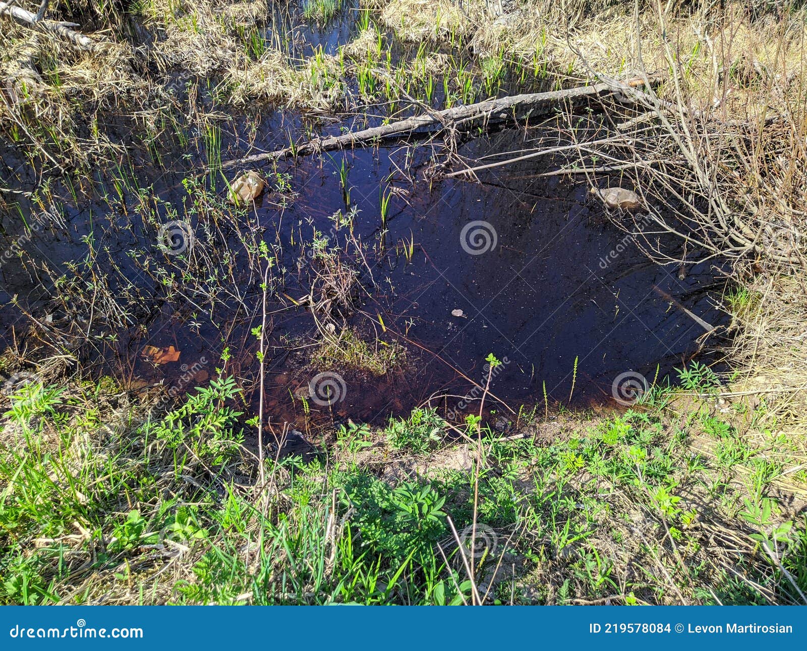Dirty River in the Forest at Daytime in Spring Stock Photo - Image of ...