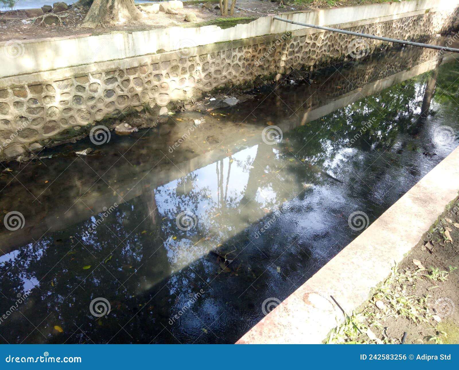 Dirty River with Jet Black Water Stock Photo - Image of ecology, lake ...