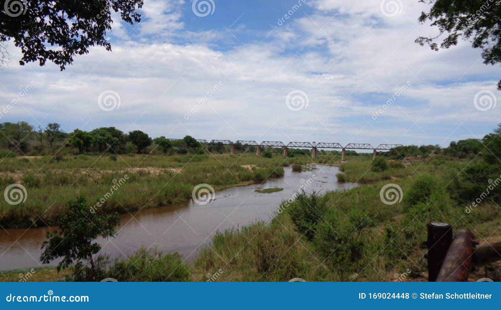 A Dirty River in South Africa Stock Photo - Image of biome, landforms ...