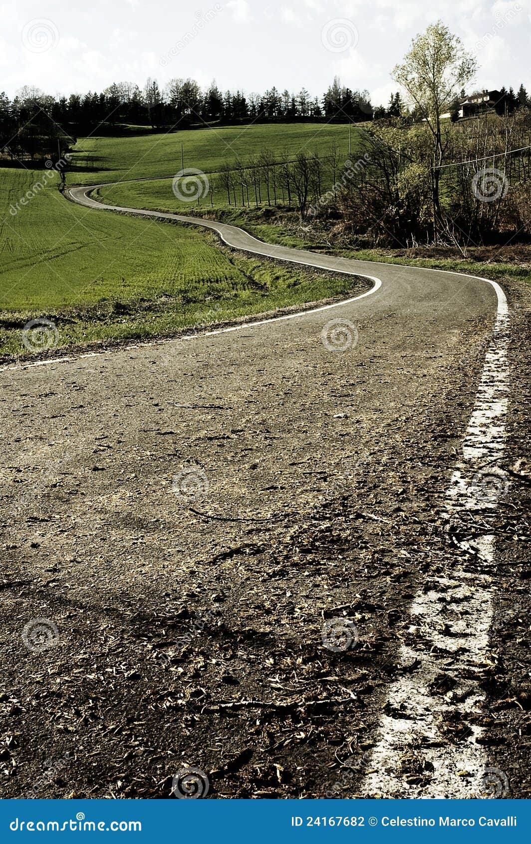 Dirty Road stock photo. Image of country, grass, countryside - 24167682