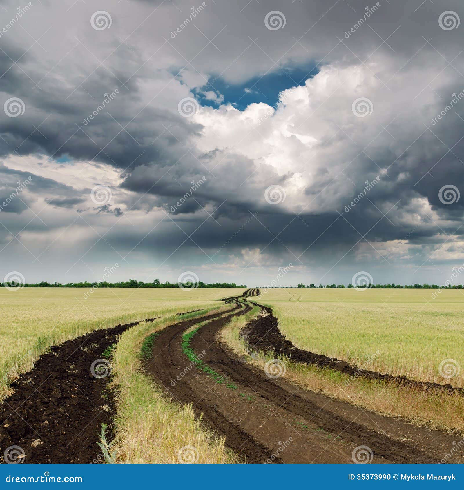 Dirty Road in Field and Dramatic Sky Stock Photo - Image of light ...