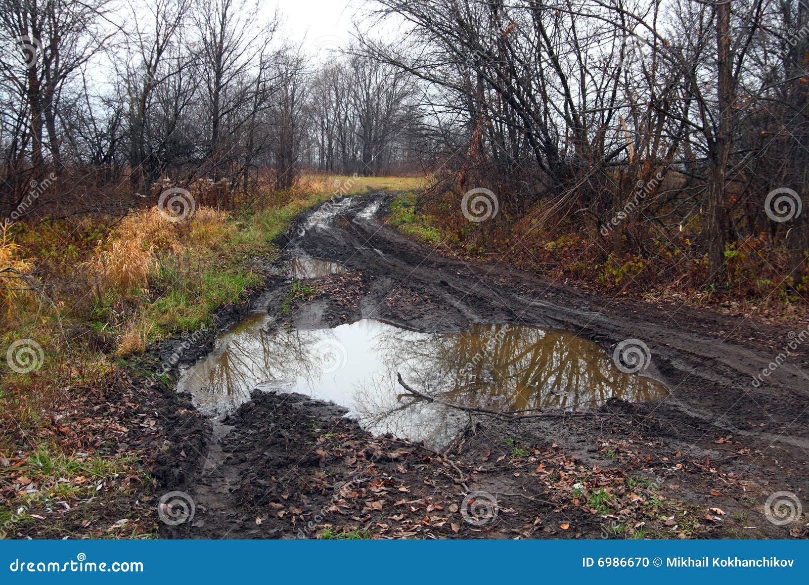Dirty road with puddle stock photo. Image of dirty, humus - 6986670