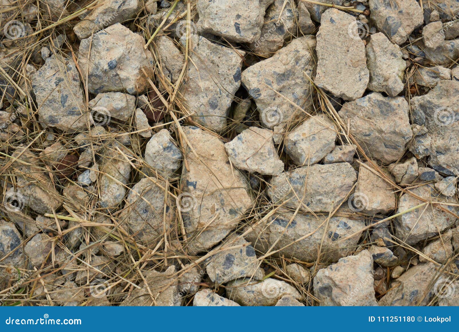 Dirty Rock and Straw on Ground Stock Photo - Image of nature, scrap ...