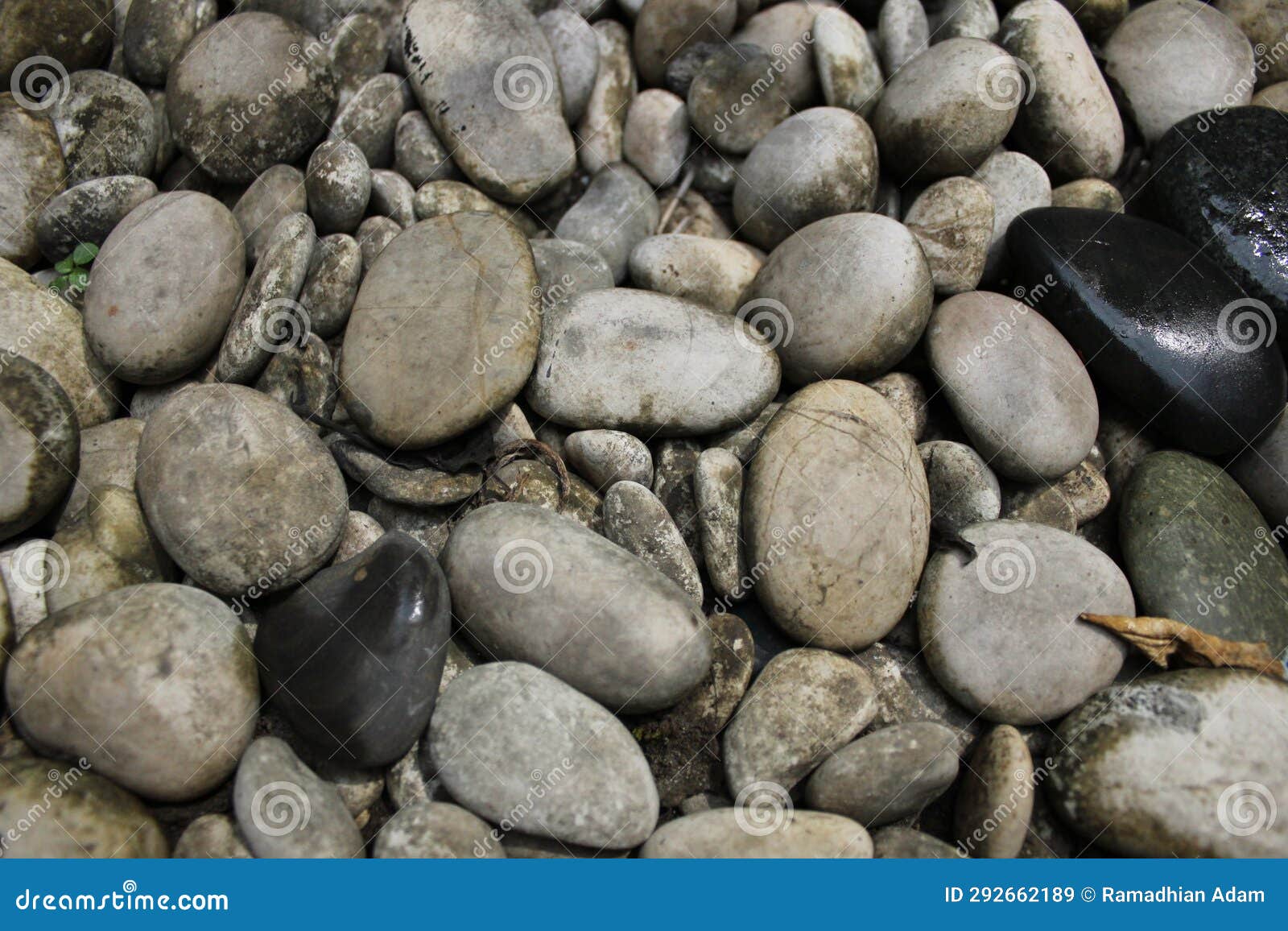 Dirty Rocks at Garden for Background Stock Image - Image of garden ...