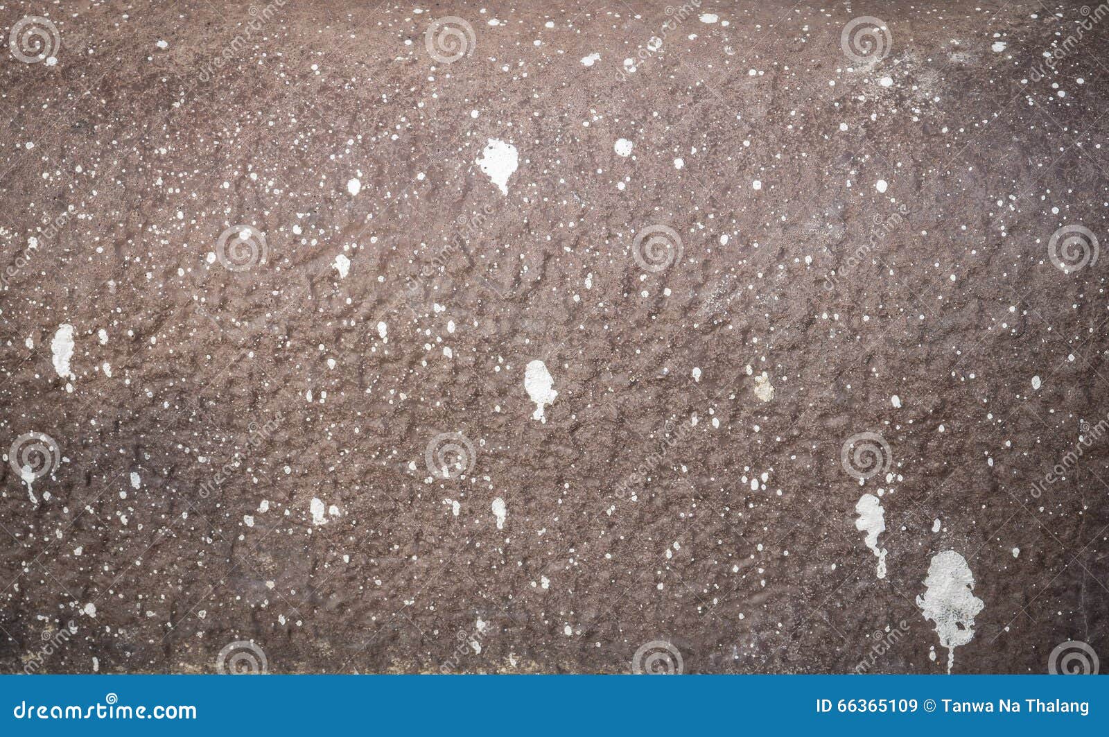 Dirty Roof And Gutter Requiring Cleaning Stock Image | CartoonDealer ...