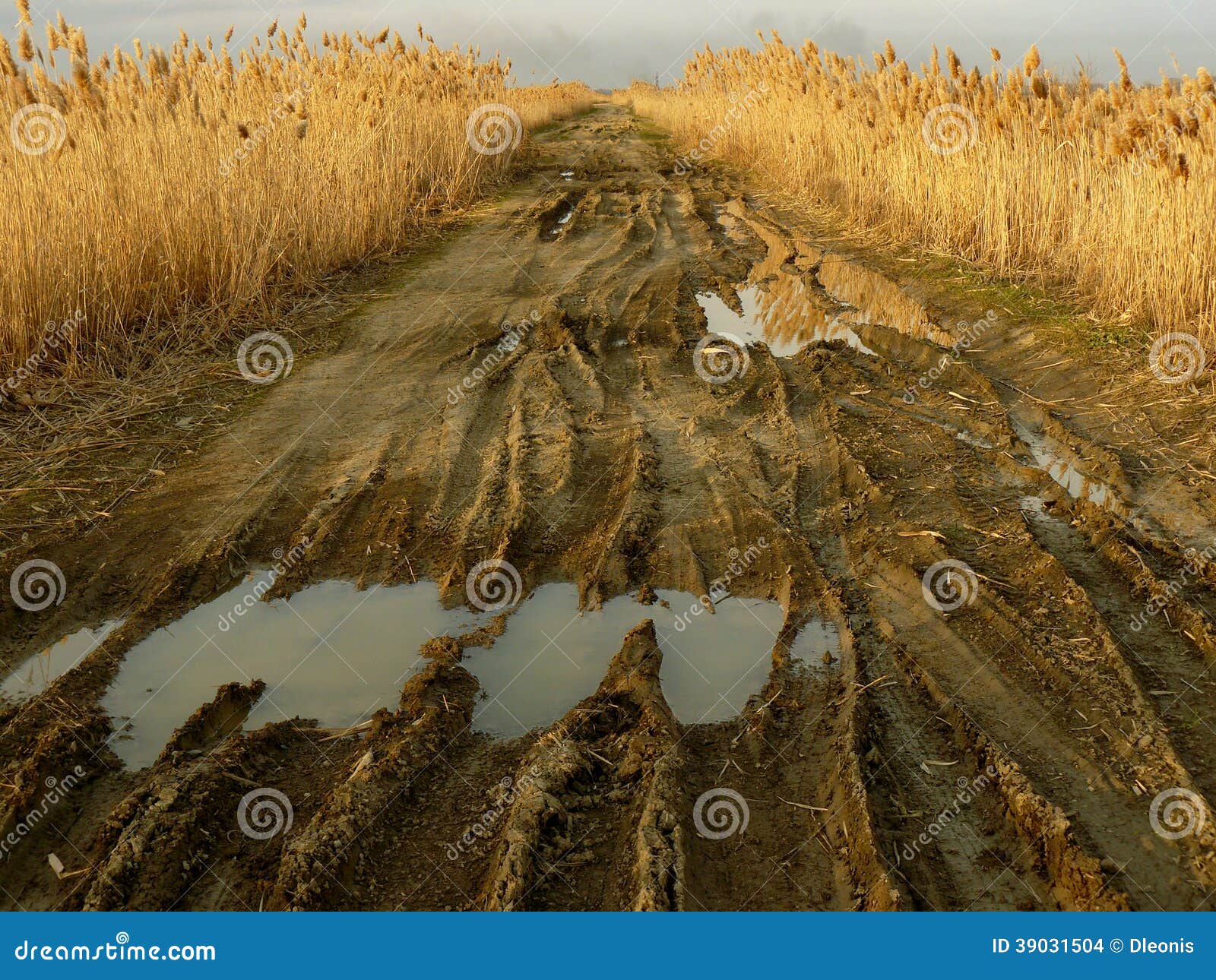 Dirty rural road stock photo. Image of puddle, flooded - 39031504