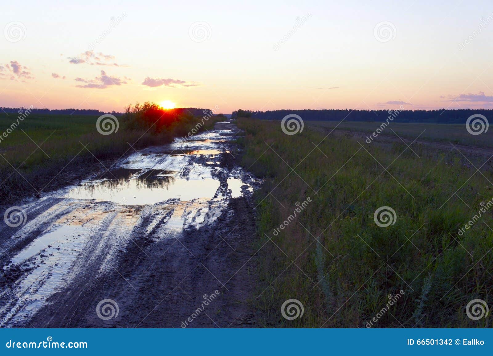 Dirty Rural Road among Fields at Sunset Stock Photo - Image of center ...