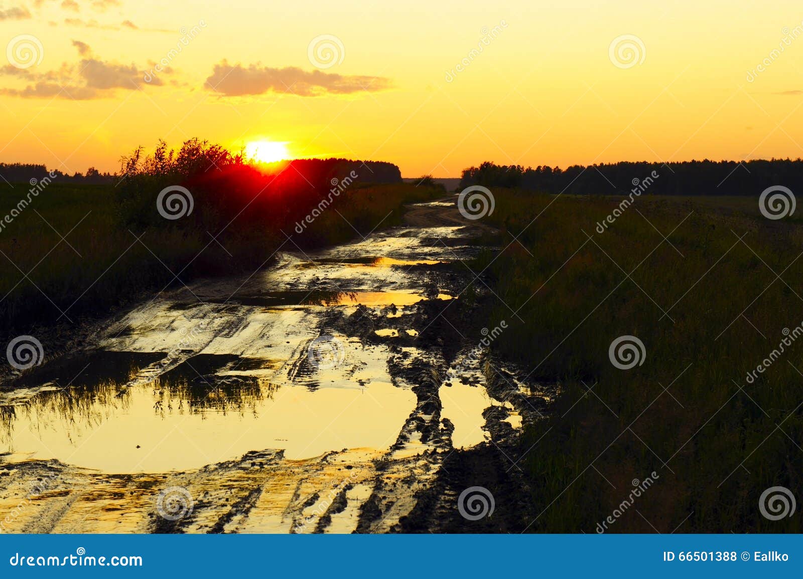 Dirty Rural Boy Stands Barefoot In A Puddle. Stock Photography ...