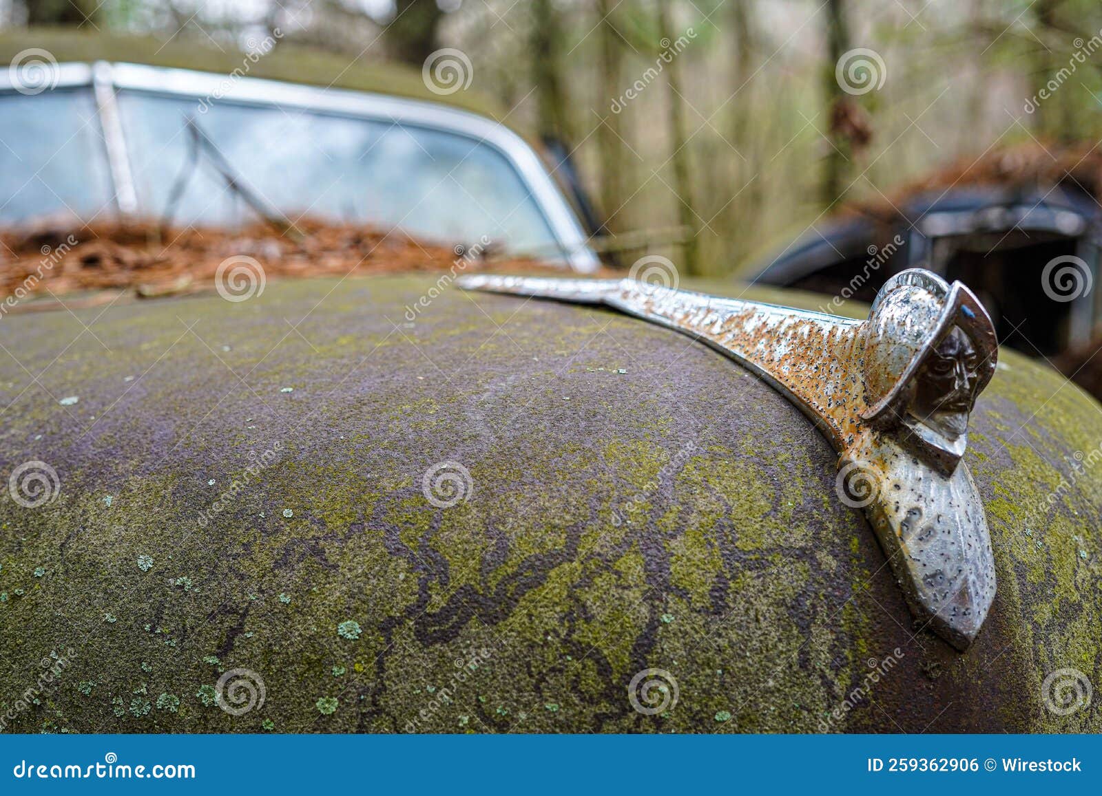 Dirty Rusty Desoto Emblem on the Front of an Abandoned Old Car ...